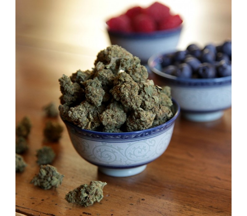 Blueberry Kush * Fleur de CDB * French Kush